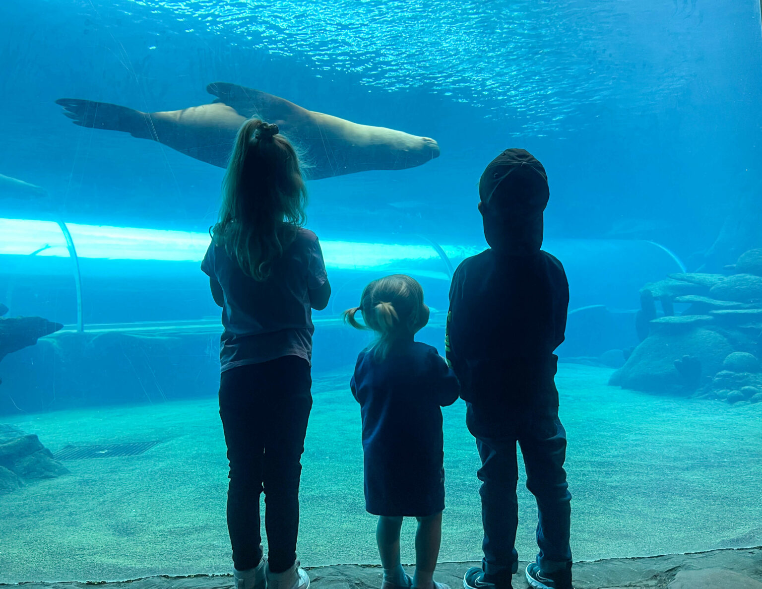 Colchester Zoo rated in the top 5 Zoos and Aquariums in England ...