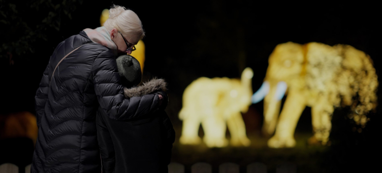 Enchanted Trail of Light - Colchester Zoological Society