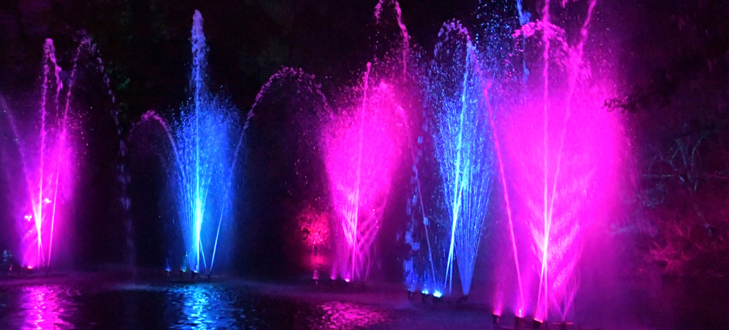 Enchanted Trail of Light - Colchester Zoological Society