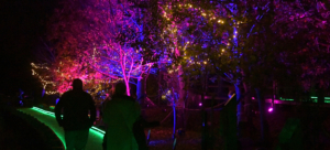 Enchanted Trail of Light - Colchester Zoological Society