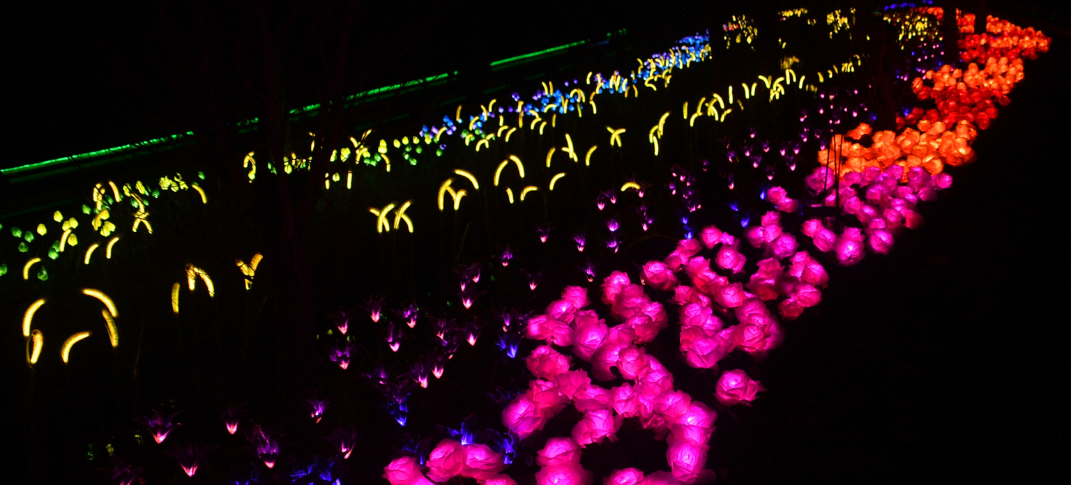 Enchanted Trail of Light - Colchester Zoological Society