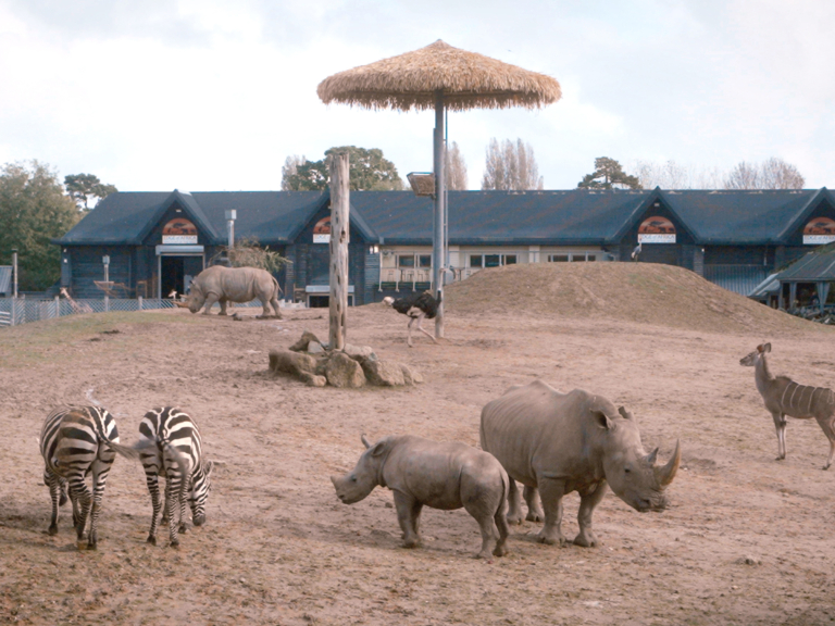 Enrichment - Colchester Zoological Society