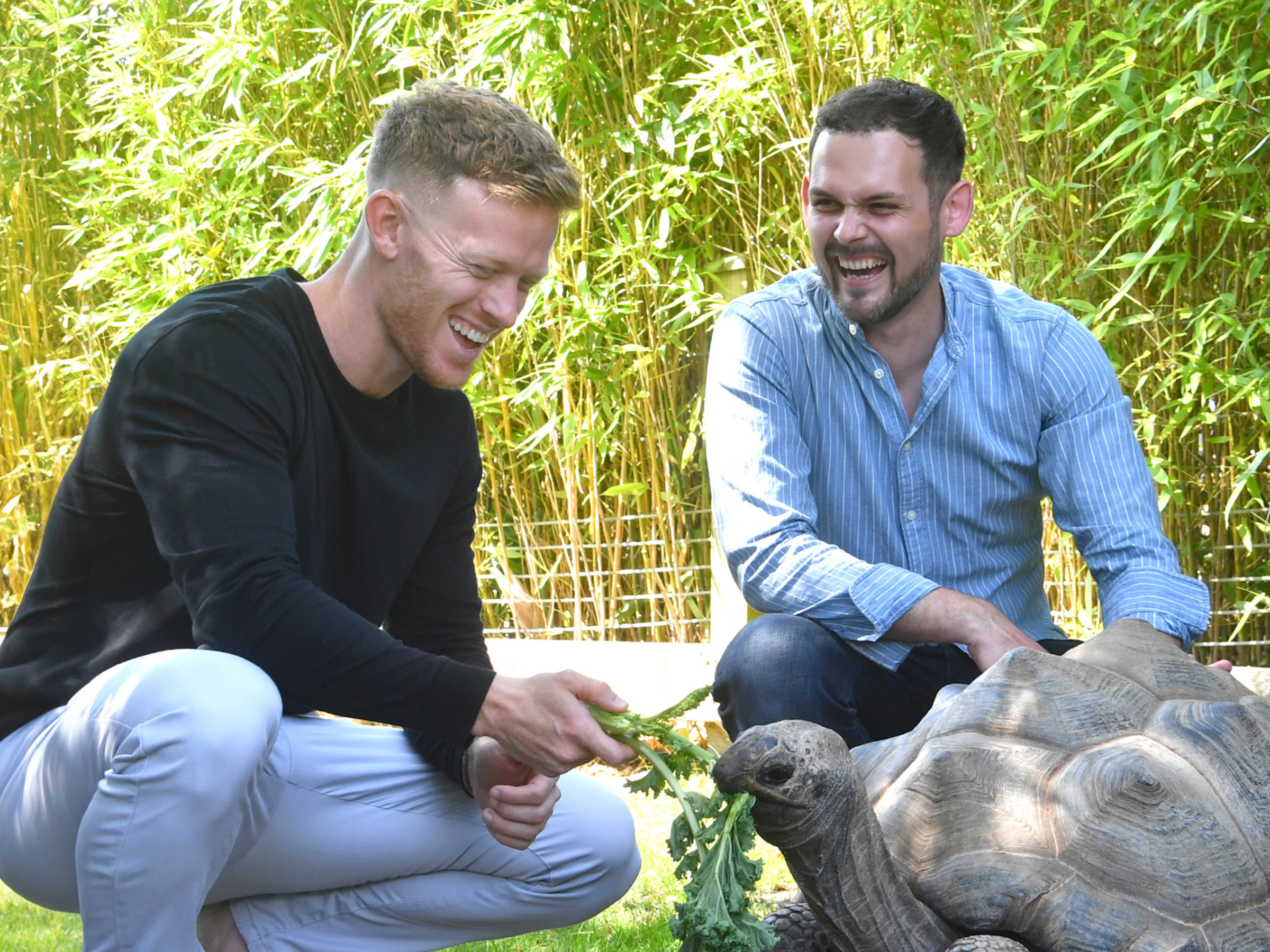 Membership Benefits - Colchester Zoological Society