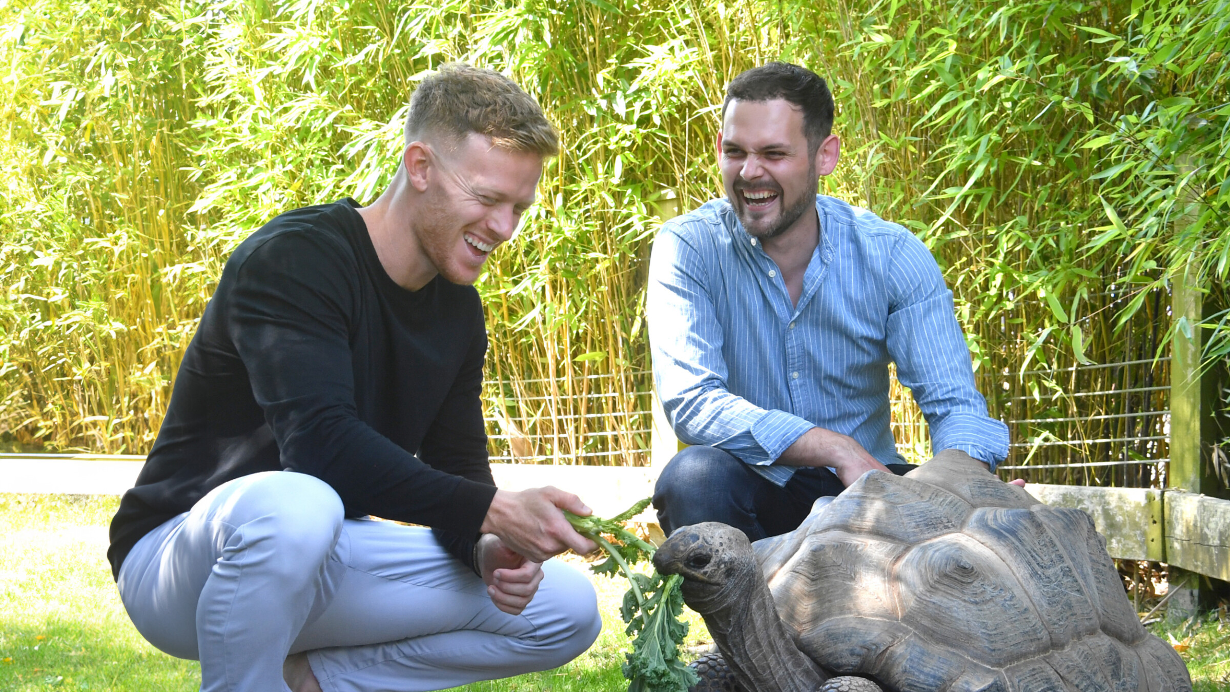 Experiences & Gifts - Colchester Zoological Society