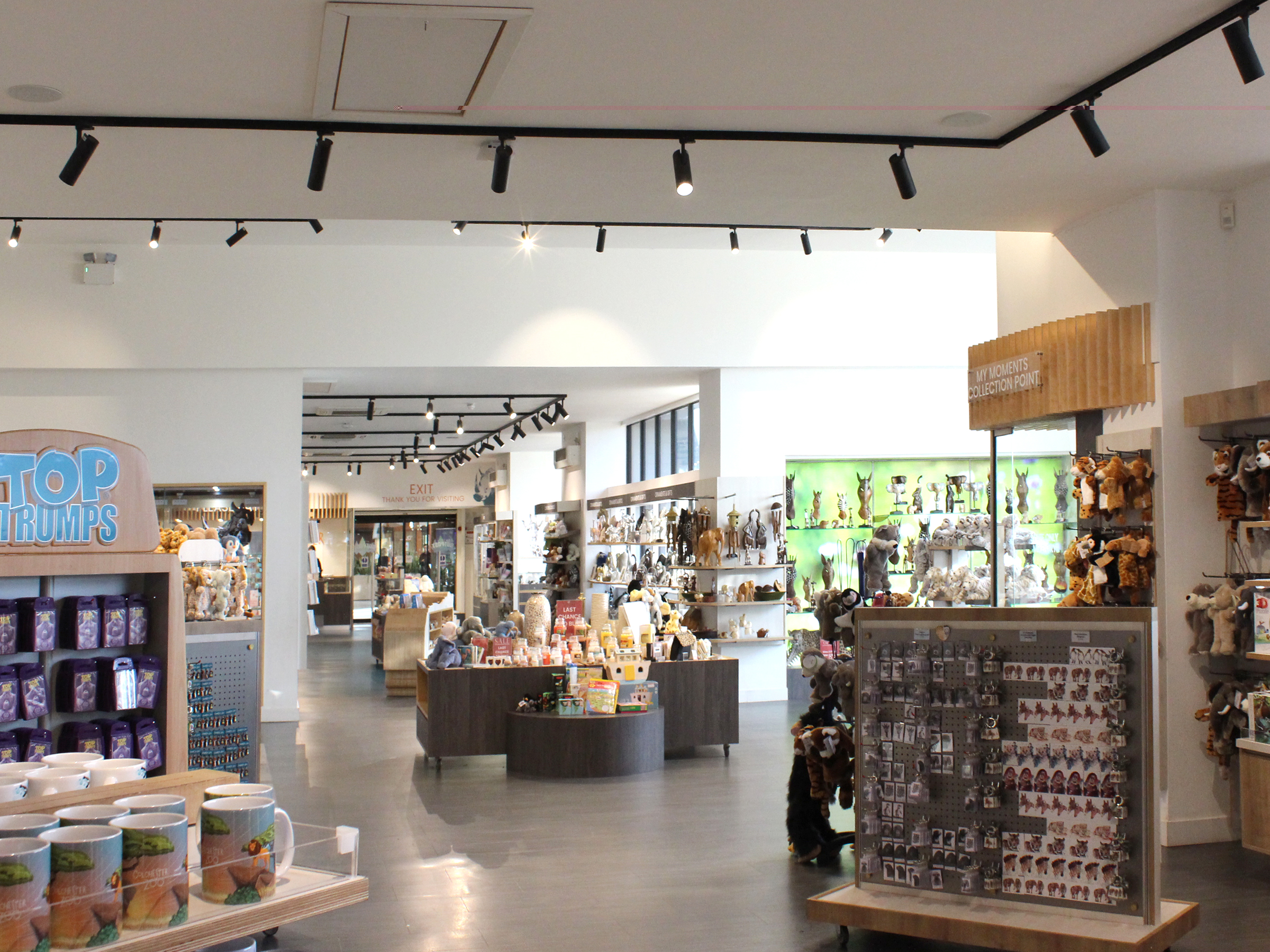 Animals Gift Shop A Roundup Of Must See Animals & Popular Souvenirs At