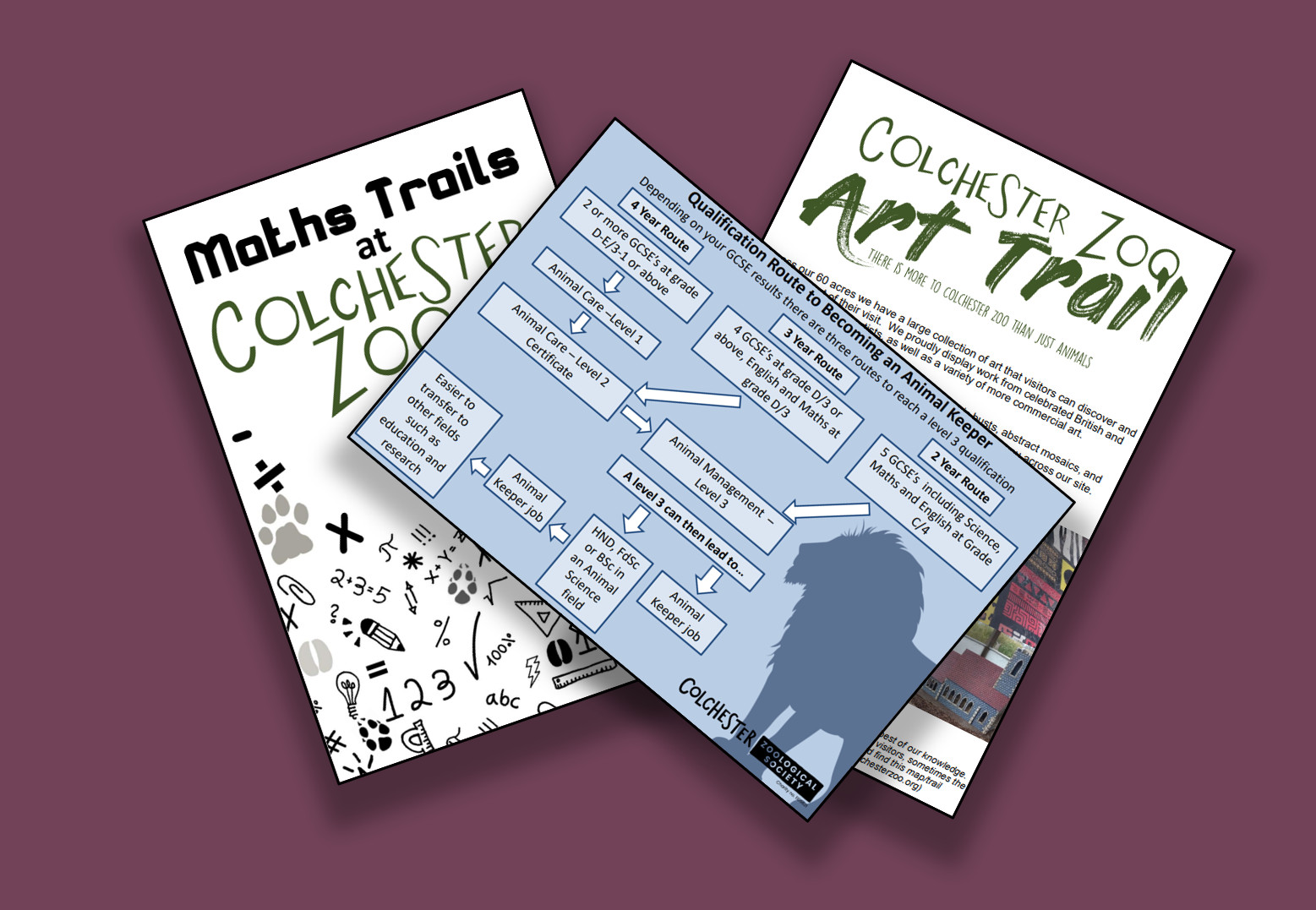 Learning Resources - Colchester Zoological Society