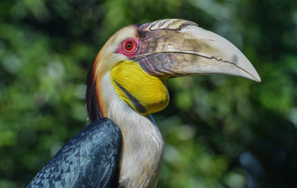 River's Edge - Colchester Zoological Society