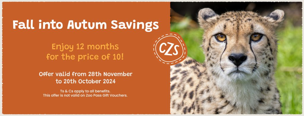 Colchester Zoo :: Ticket Selection