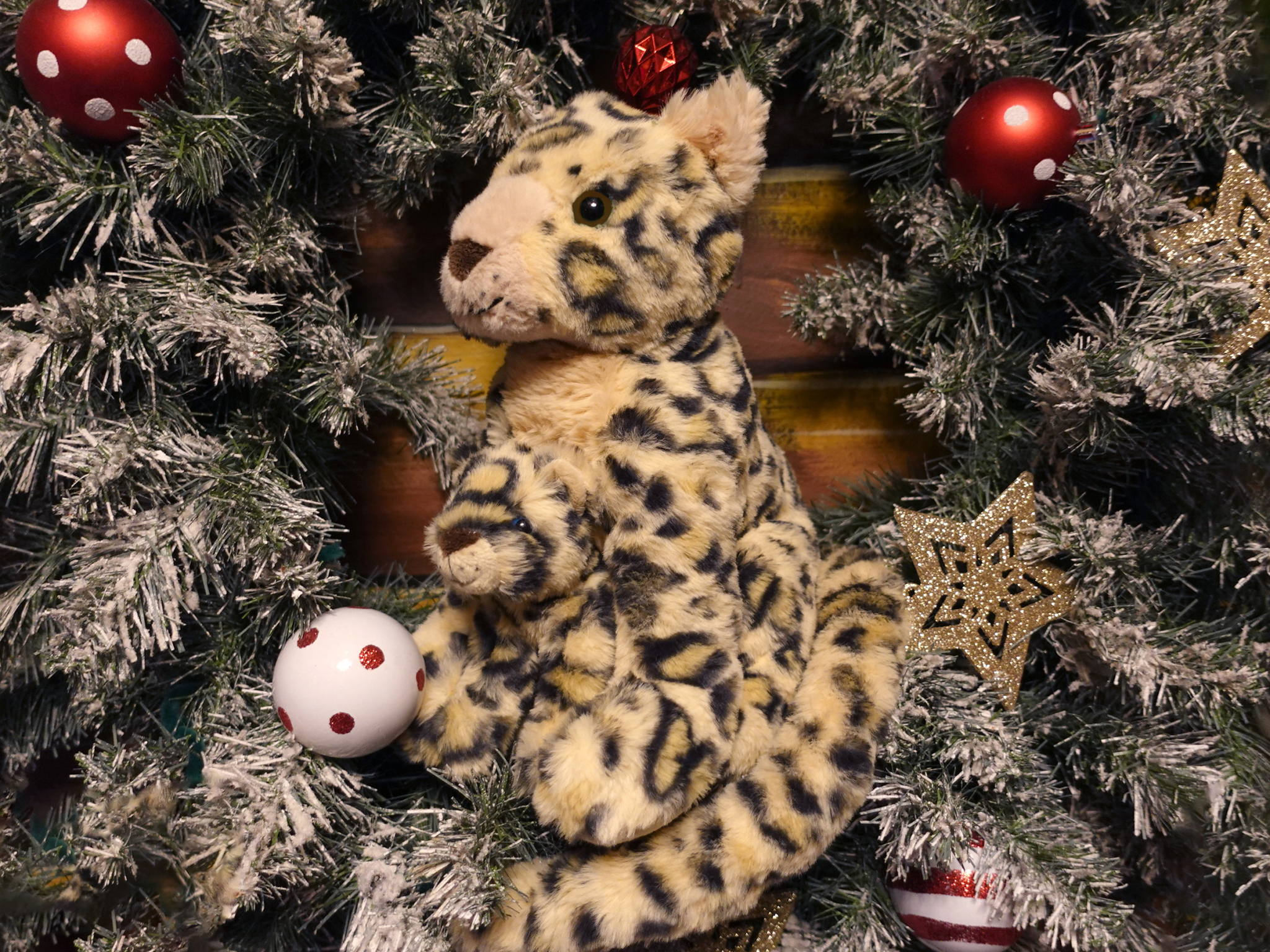 The Santa Experience - Colchester Zoological Society