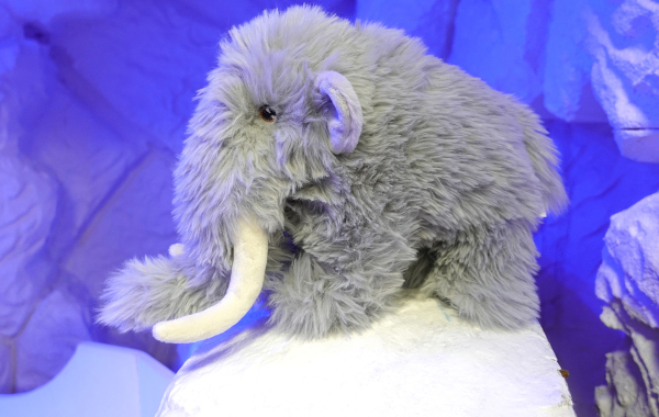 Pre-book E-tickets - Colchester Zoological Society