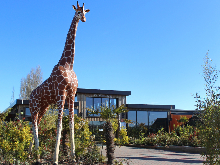 Colchester Zoological Society - Colchester Zoological Society