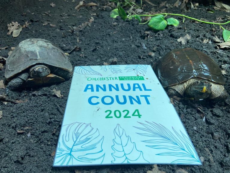 Let the annual count begin! - Colchester Zoological Society