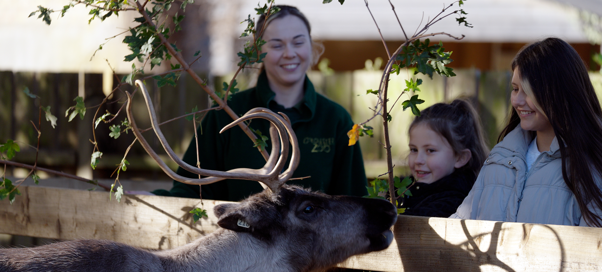 New Christmas Advert: Conservation Never Stops - Colchester Zoological ...