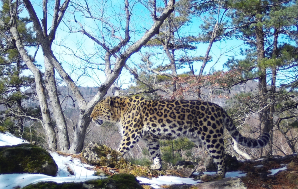 UmPhafa Nature Reserve - Colchester Zoological Society