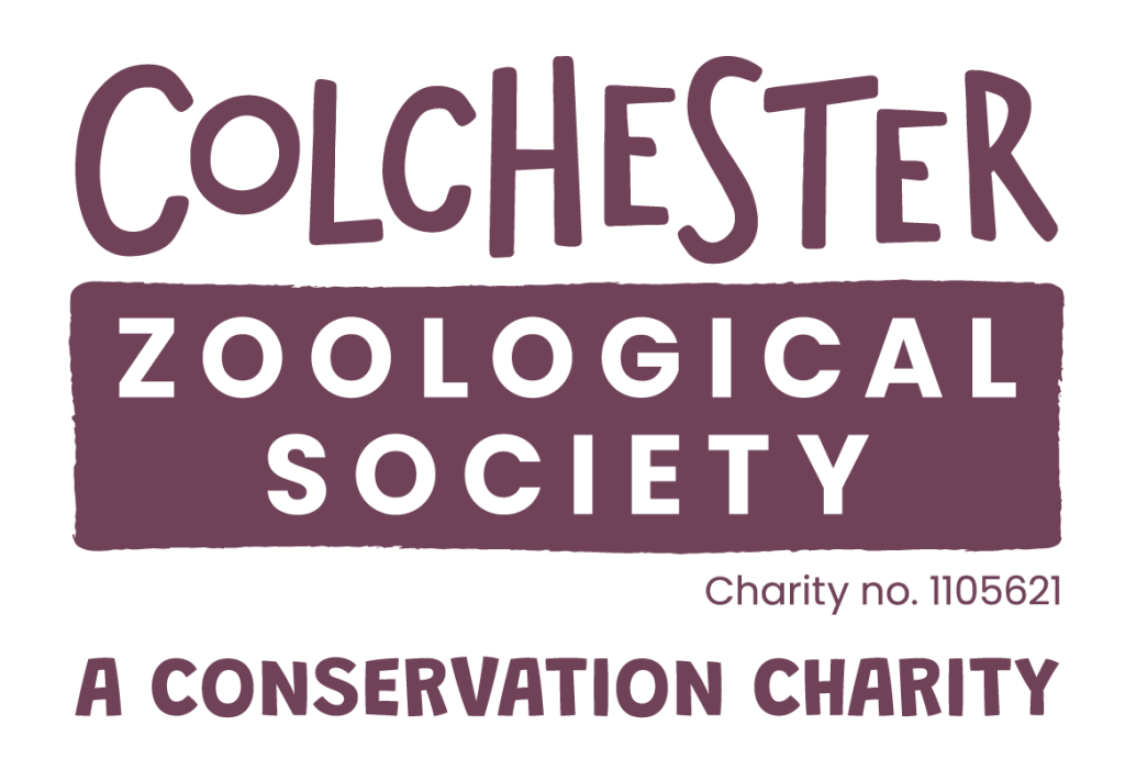 Red Panda Arrival - Colchester Zoological Society